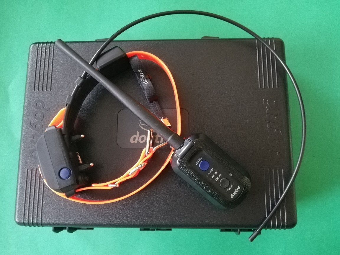 pologar > Dogtra Pathfinder mini GPS dla psa zasięg do 5 km